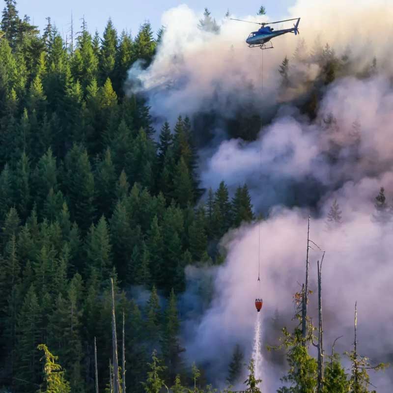 BIOEX | High Performance Fluorine-Free Firefighting Foam | Safeware